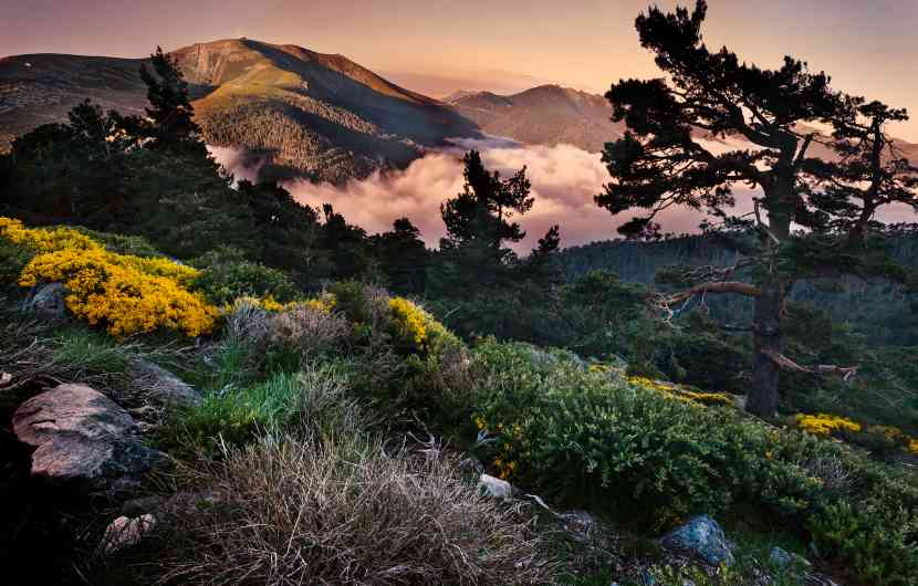 Sierra de Guadarrama National Park Spain